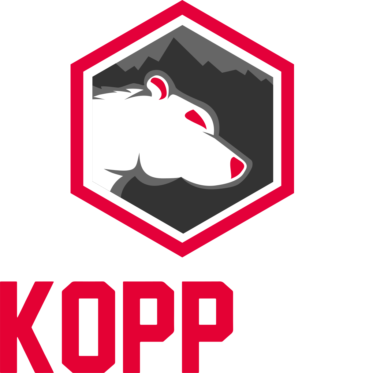Kopp Fit - Dein persönlicher Fitnesstrainer im Tiroler Oberland